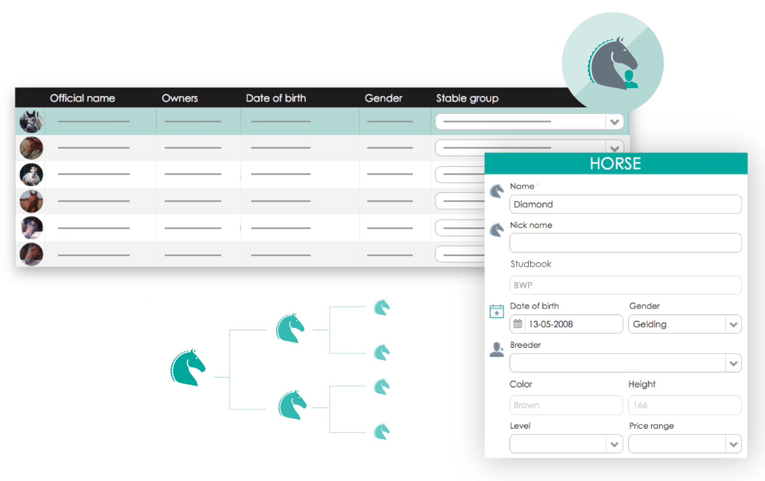 Manage Horses Equstable - Innovative digital horse management solut...